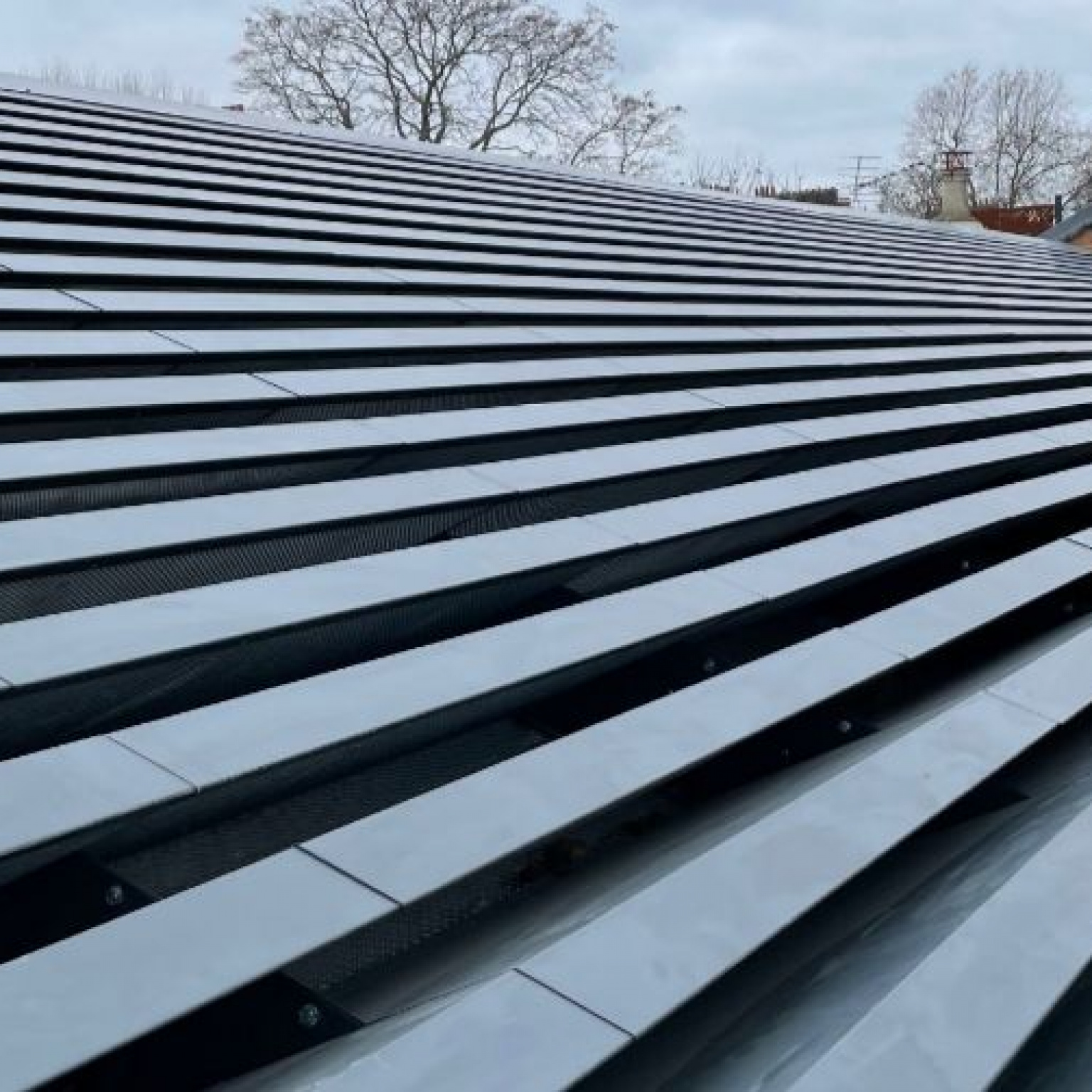 Success Stories | Caice